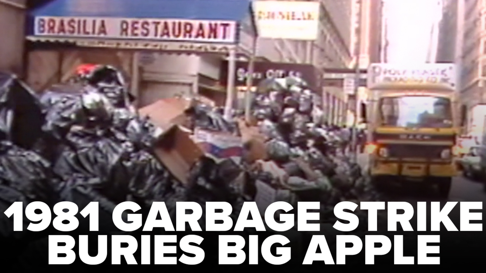 All Honest Work is Honorable – Beyond Plastic MD